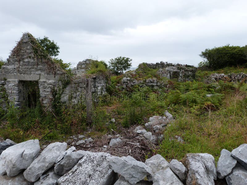 House ruins stock photo. Image of bushes, ruins, stone - 80477172