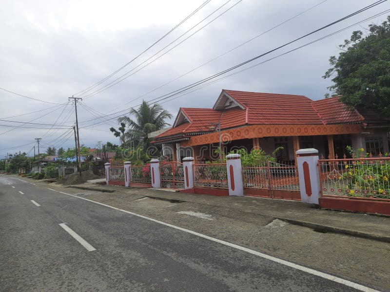 A House on the Side of the Road Stock Image - Image of cartoon, grass ...