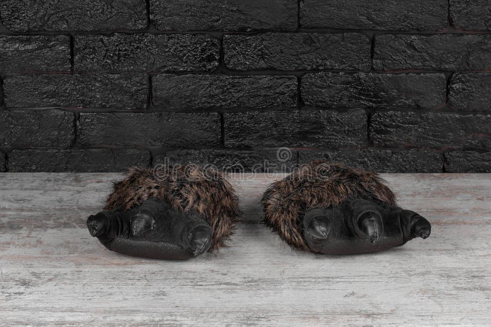 House Slippers with Claws on Floor Stock Photo - Image of cute, warm ...