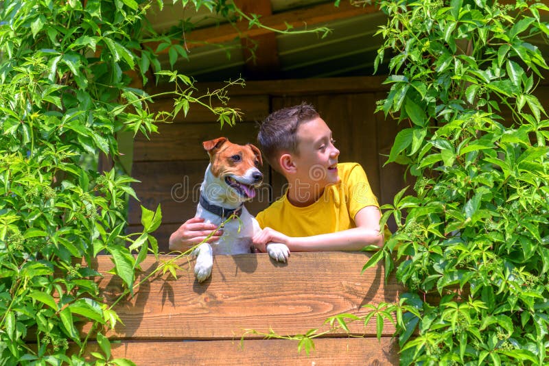 Dog Treehouse Stock Photos - Free & Royalty-Free Stock Photos from ...