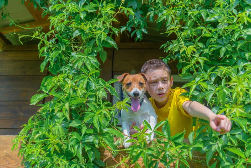 House stock image. Image of ladder, little, high, door - 73203737