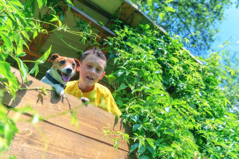 House stock image. Image of playhouse, lifestyle, play - 73667559