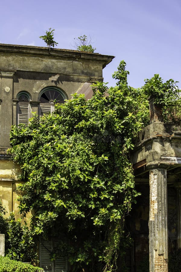 India Summer Showing House Stock Photos - Free & Royalty-Free Stock ...