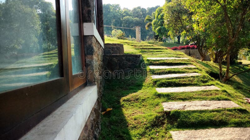 House stock image. Image of peace, green, steps, house - 79931041