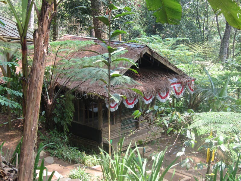 House on stilts stock photo. Image of jungle, cottage - 319654174