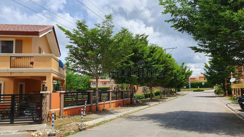 House Subdivision Road Lined Up with Trees Stock Image - Image of town ...