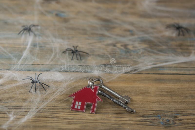 House Symbol with Silver Keys, Spider Web and Black Spiders on Wood ...