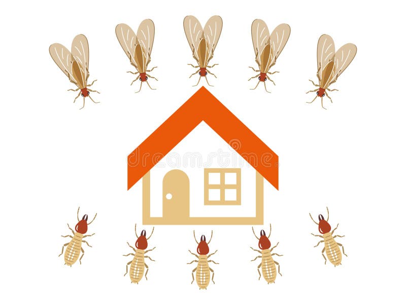 Termites Stock Illustrations – 303 Termites Stock Illustrations ...