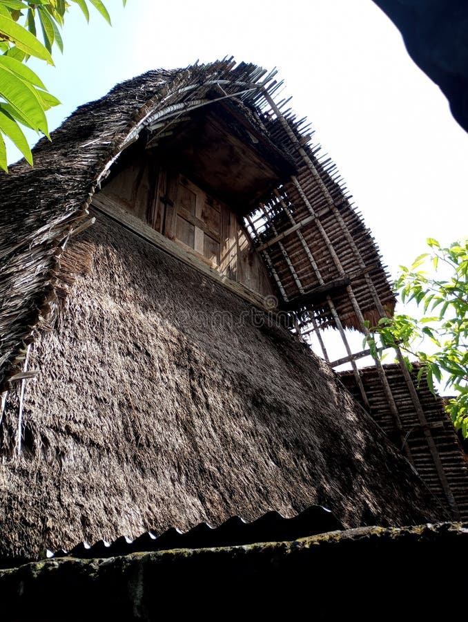 The House Traditional from Papua Stock Image - Image of cottage ...