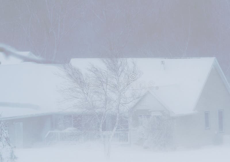 House and Trees during Blizzard Stock Image - Image of residence, trees ...