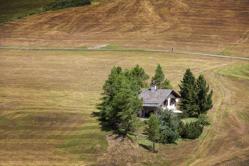 House among the trees stock photo. Image of trees, pine - 34248262