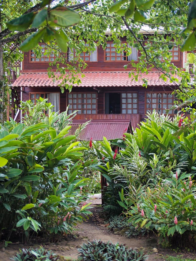 House and tropical plants stock photo. Image of caribbean - 22107972