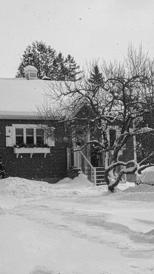 House Under the Snow in the Canadian Countryside Stock Image - Image of ...