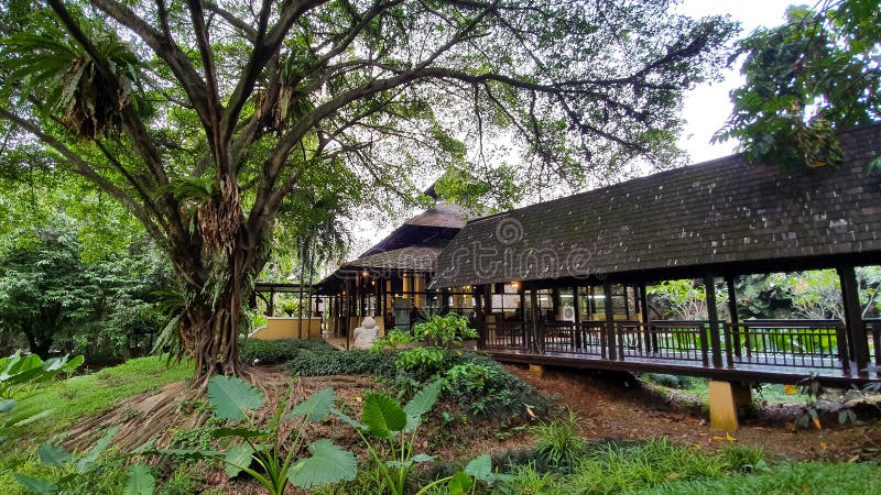 House under the tree stock photo. Image of cottage, estate - 263725930