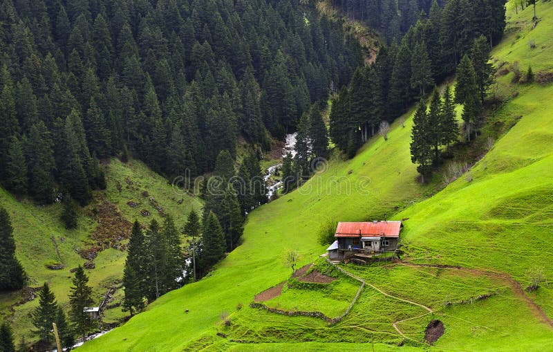 House on a Valley stock image. Image of holiday, pine - 5526267