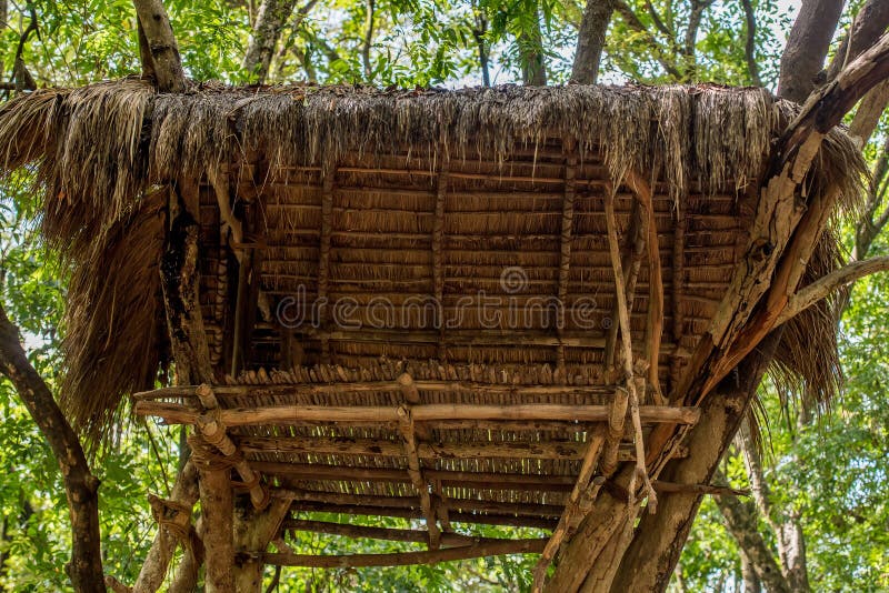 House of vedda people stock photo. Image of group, indigenous - 82761466
