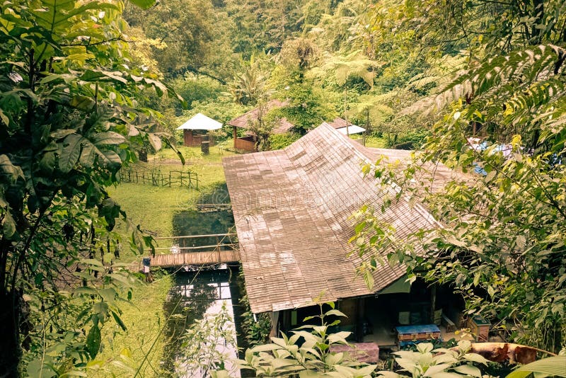 A House with Views of the Surrounding Forest Stock Photo - Image of ...