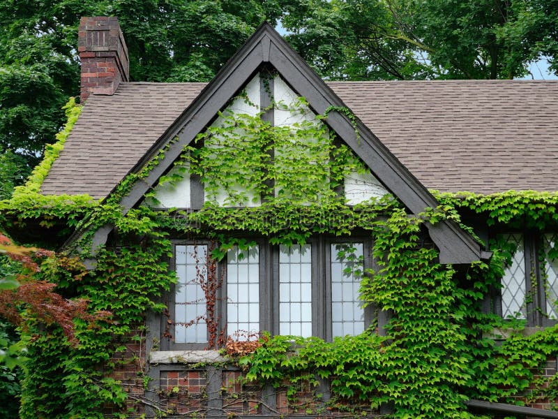 House with Vine Covered Gable Stock Image - Image of front, style ...