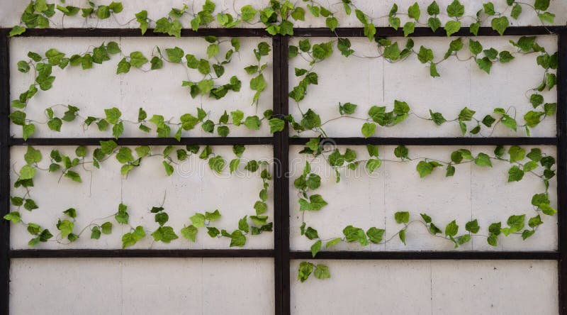 House Wall Decorated with Artificial Branches with Leaves Stock Image ...