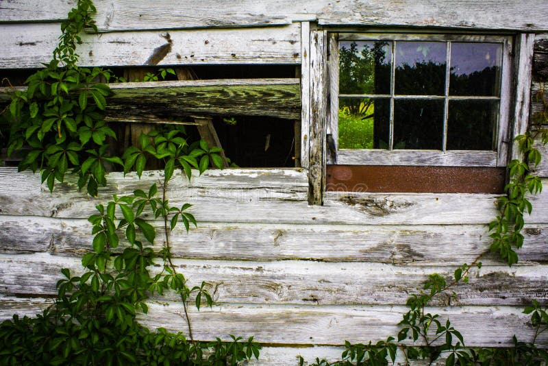 House, Wall, Window, Tree stock image. Image of door - 131082117