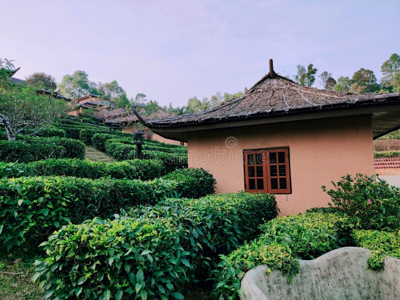 The House Was Built in the Midst of a Tea Plantation in the Mountains ...