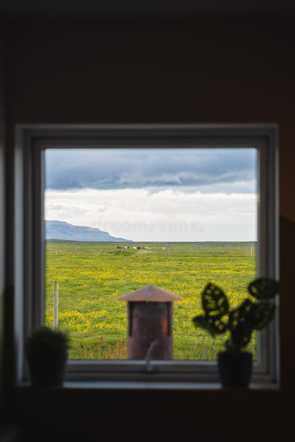 House Window through Horse in Field on Farmland Stock Photo - Image of ...