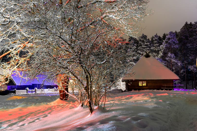 House in the winter night stock photo. Image of pine - 64791086