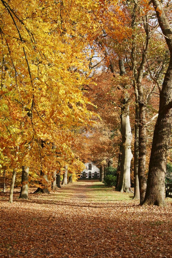 Callendar House in Autumn, Falkirk, Scotland Stock Image - Image of ...