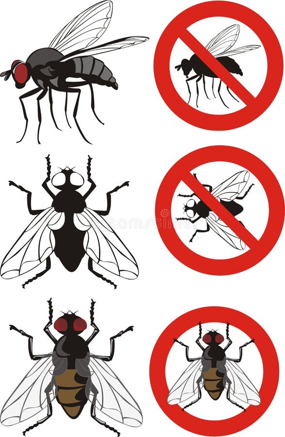 Pest Control - Warning Sign Stock Illustration - Illustration of flea ...