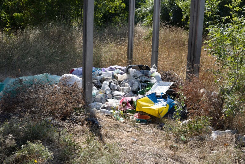 Household Garbage Pile Illegal Dumping Forest Pollution Environmental ...