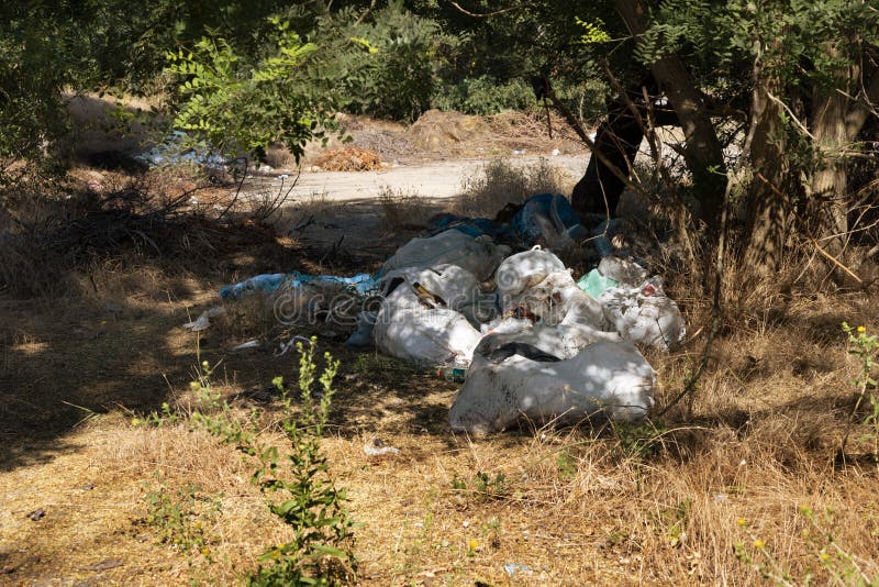 Household Garbage Pile Illegal Dumping Forest Pollution Environmental ...