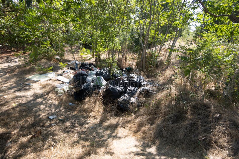 Household Garbage Pile Illegal Dumping Forest Pollution Environmental ...