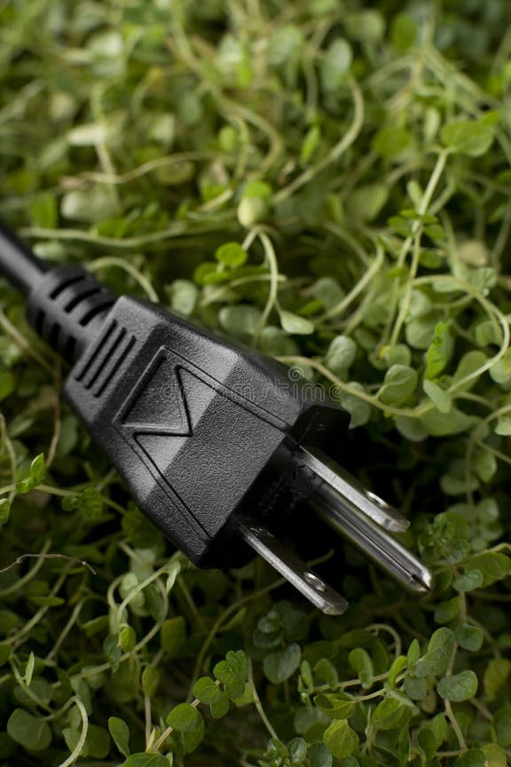 A household plug in stock image. Image of electric, concept - 8548899