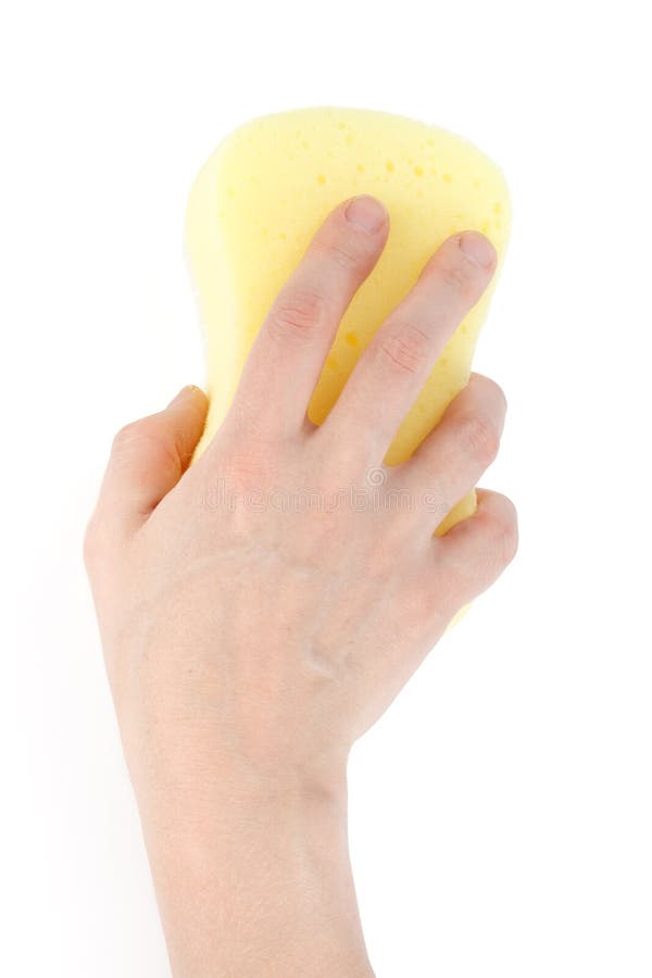 Household sponge in a hand stock photo. Image of abstract - 8584124