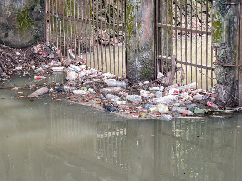 Trash in the river stock photo. Image of reflection - 239652364