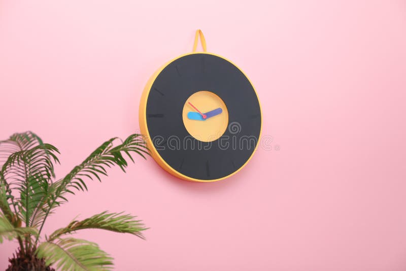 Houseplant Near Stylish Clock on Color Wall Stock Photo - Image of ... Houseplant Near Stylish Clock on Color Wall Stock Photo - Image of ...
