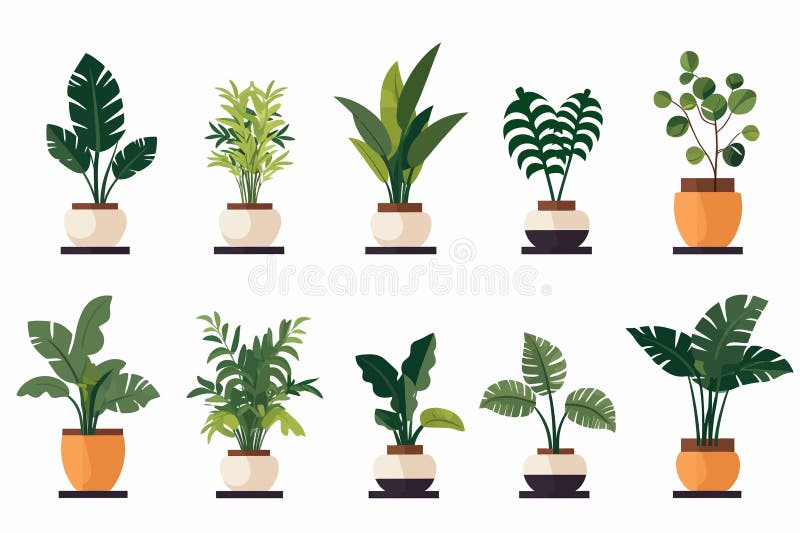 Houseplant Pot Set Vector Flat Isolated Illustration Stock Vector ...