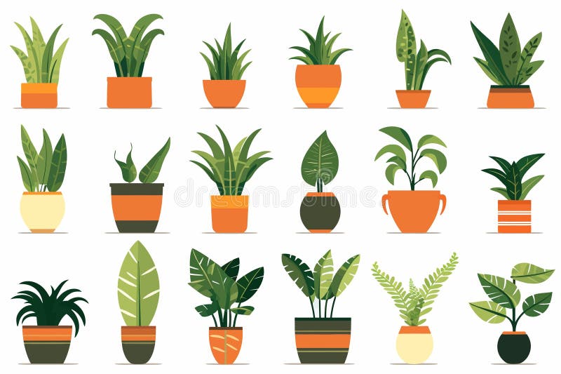 Houseplant Pot Set Vector Flat Minimalistic Isolated Illustration Stock ...