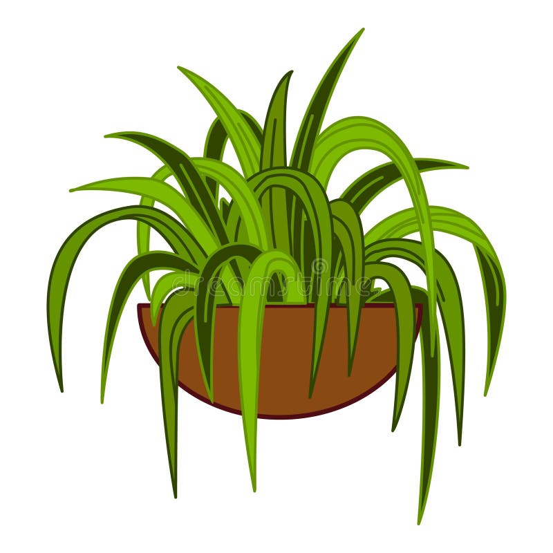 Houseplants Exotic Container Icon Cartoon Vector. Window Vegetation ...