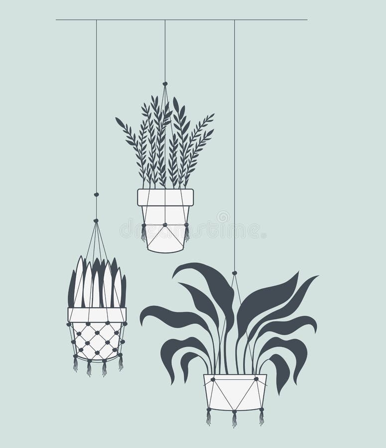 Houseplants in Macrame Hangers Stock Vector - Illustration of object ...