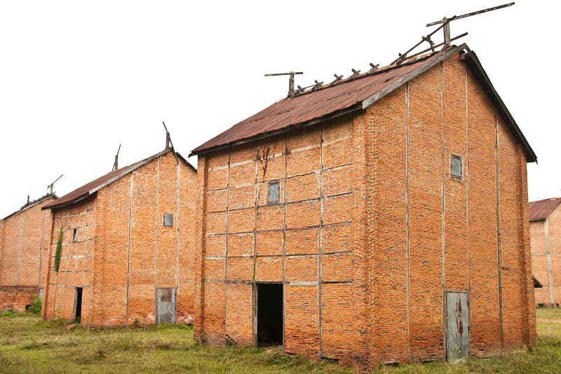 Houses for Cure Tobacco Leaves Stock Image - Image of nicotiana ...