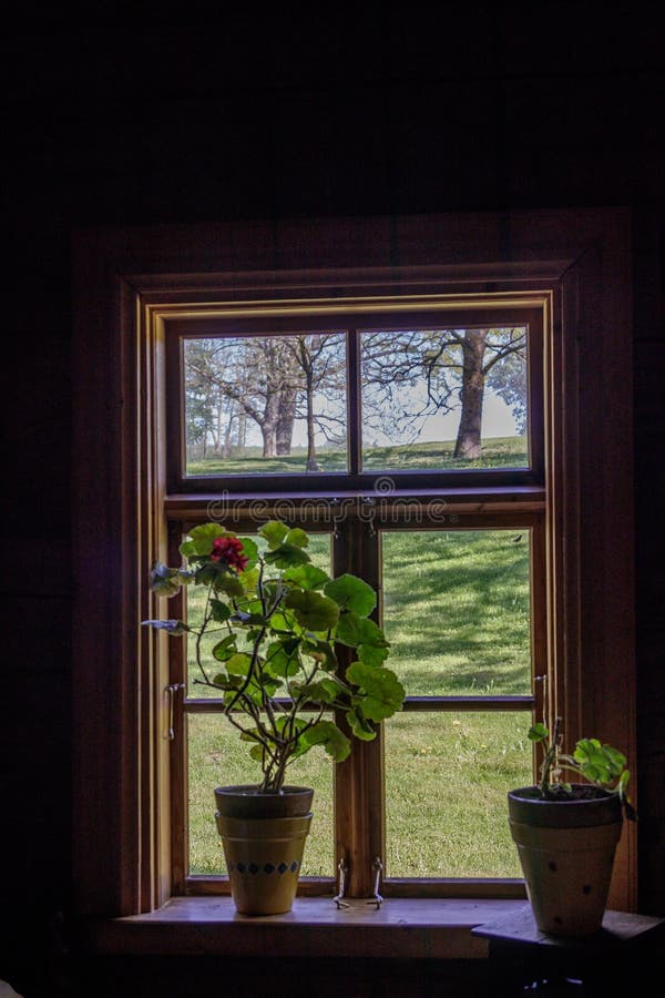 Houses with light windows stock photo. Image of empty - 119749550