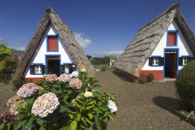 Houses in Madeira island stock photo. Image of madeira - 22990034