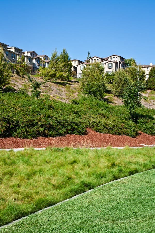 Houses on Ridge stock photo. Image of multifamily, architecture - 31352848