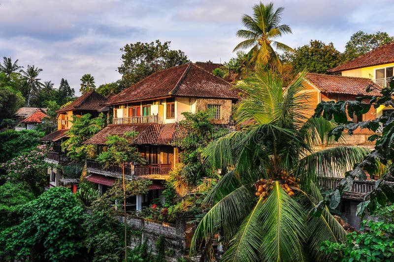 Houses in Tropical Forest in Ubud, Bali Stock Image - Image of trekking ...