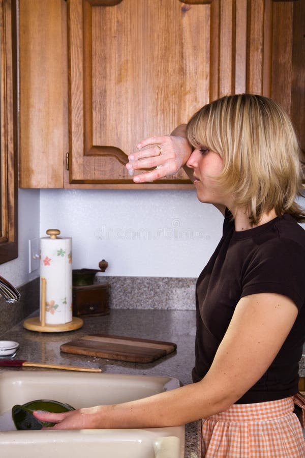 Housewife Doing the Dishes stock image. Image of sink - 17570523