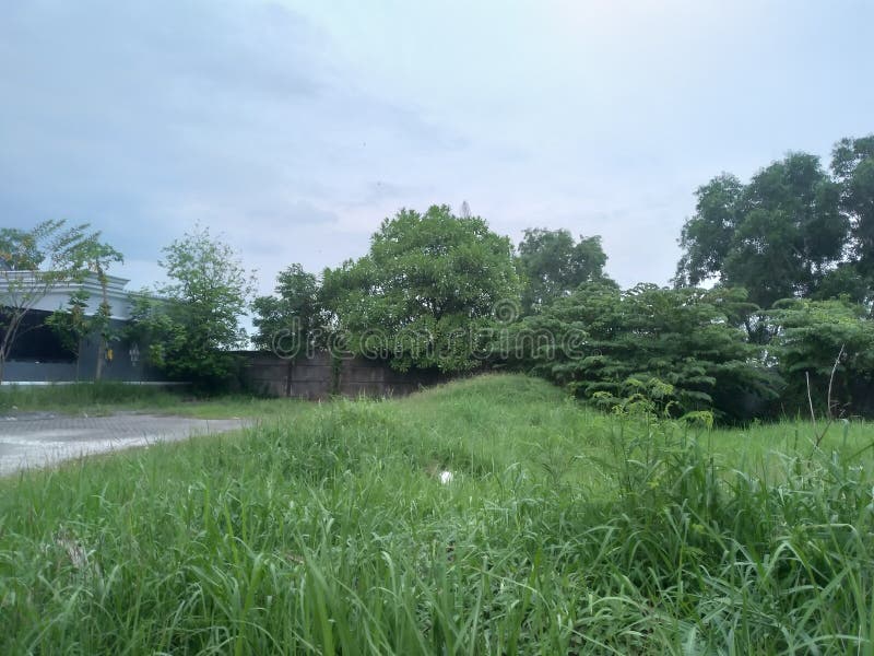 Housing with a Beautiful View of Trees and Grass Stock Image - Image of ...