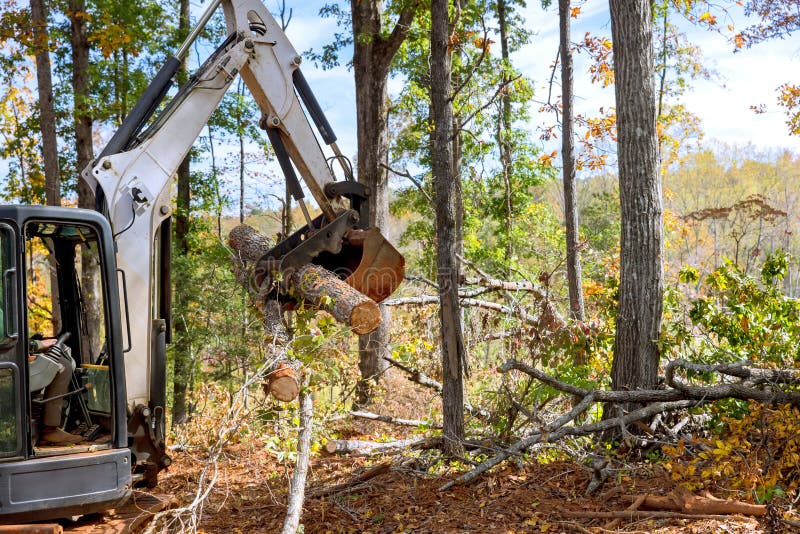 Housing Complex Construction, a Trees Cleared during Land with Tractor ...