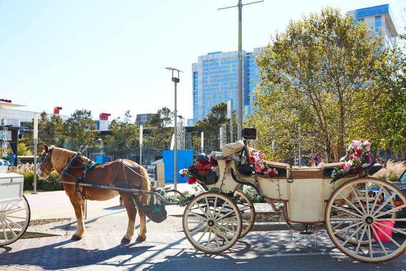 Houston Discovery Green Park Horse Carriages Stock Image - Image of ...