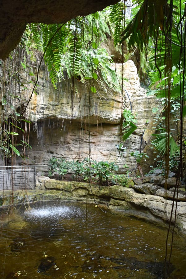 Houston Museum of Natural Science in Texas Editorial Image - Image of ...